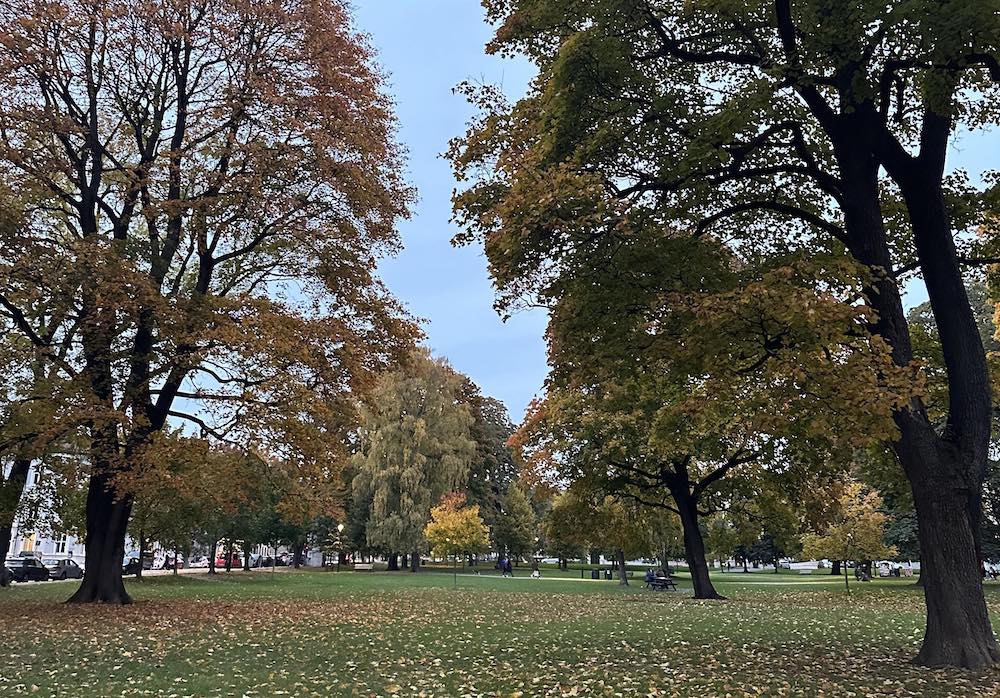 Dette skjer i Oslo denne helgen